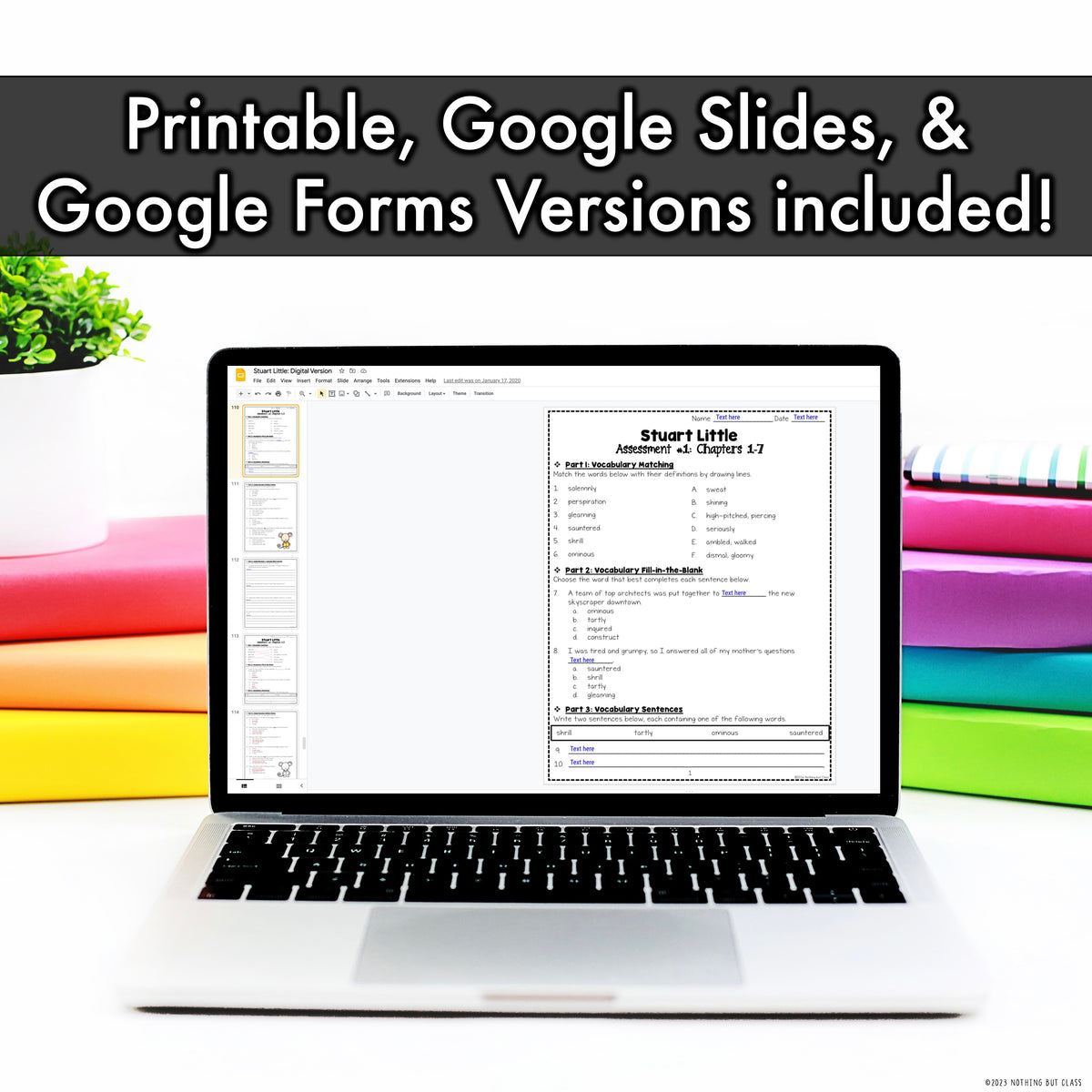 Stuart Little - Tests | Quizzes | Assessments – Nothing but Class