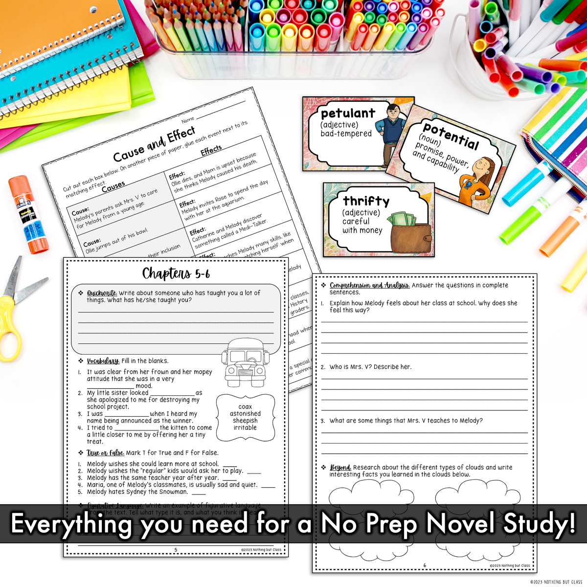Out of My Mind Novel Study Unit – Nothing but Class