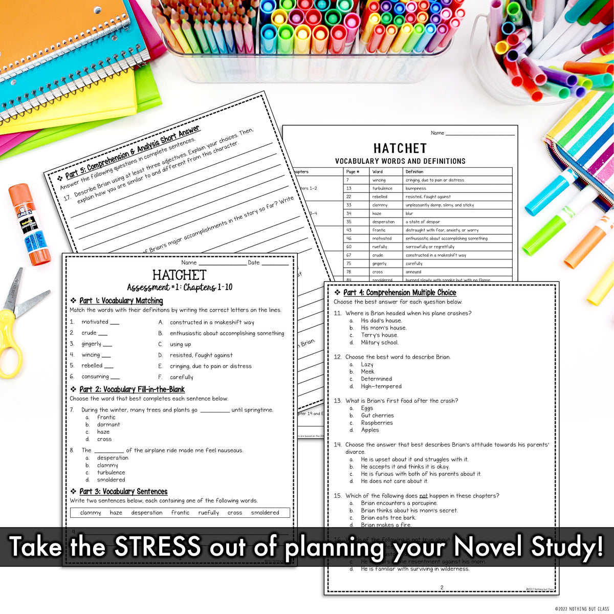 Hatchet - Tests | Quizzes | Assessments – Nothing but Class