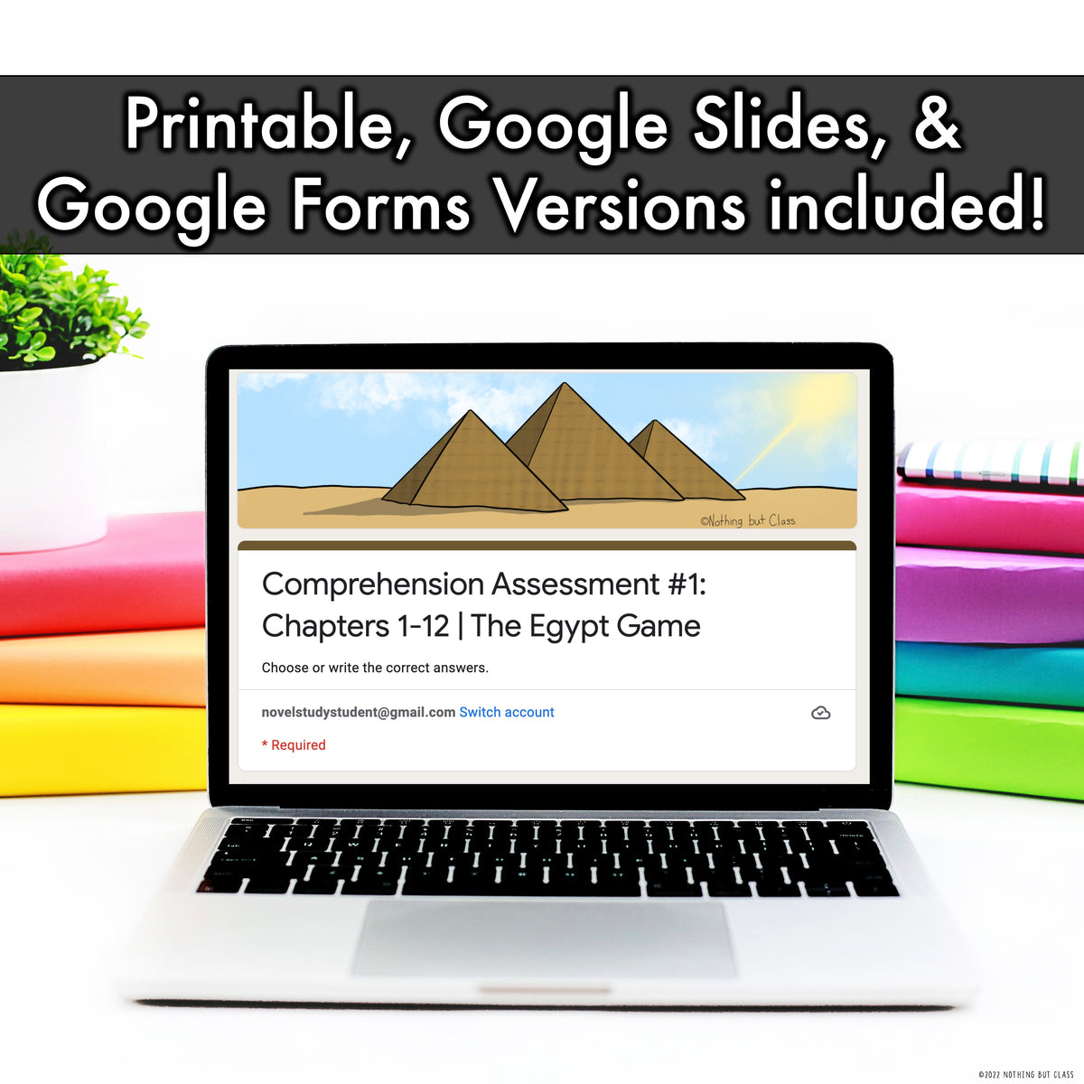 The Egypt Game - Tests | Quizzes | Assessments – Nothing but Class