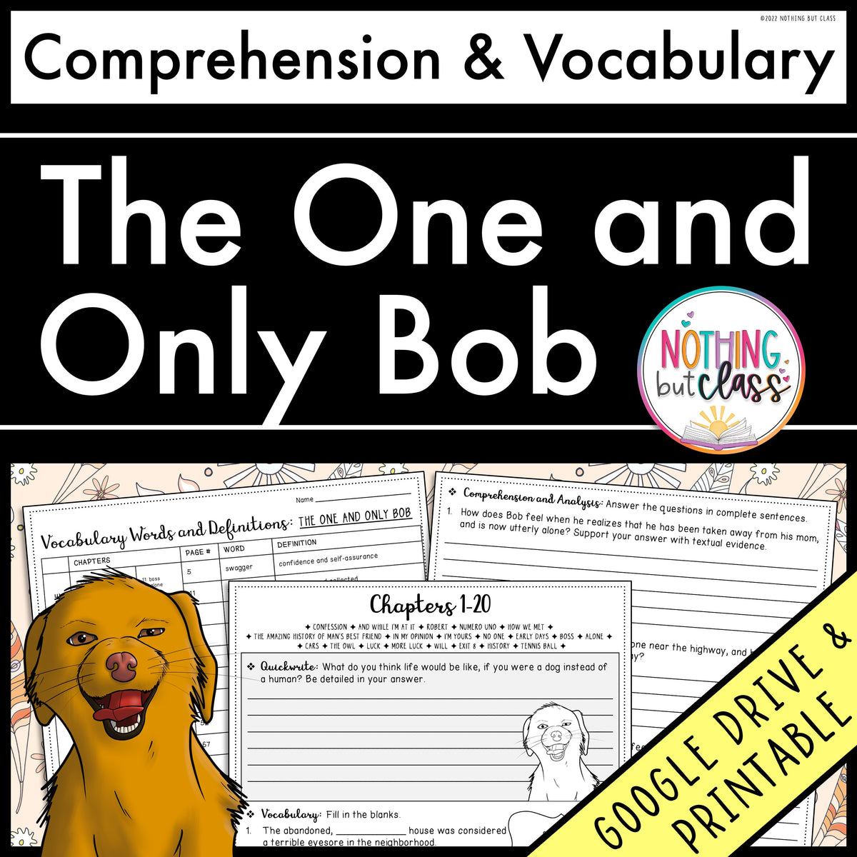 The One and Only Bob | Comprehension and Vocabulary – Nothing but Class
