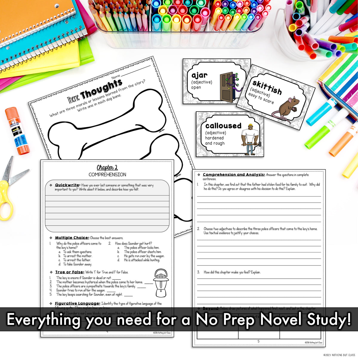 Sounder Novel Study Unit – Nothing but Class
