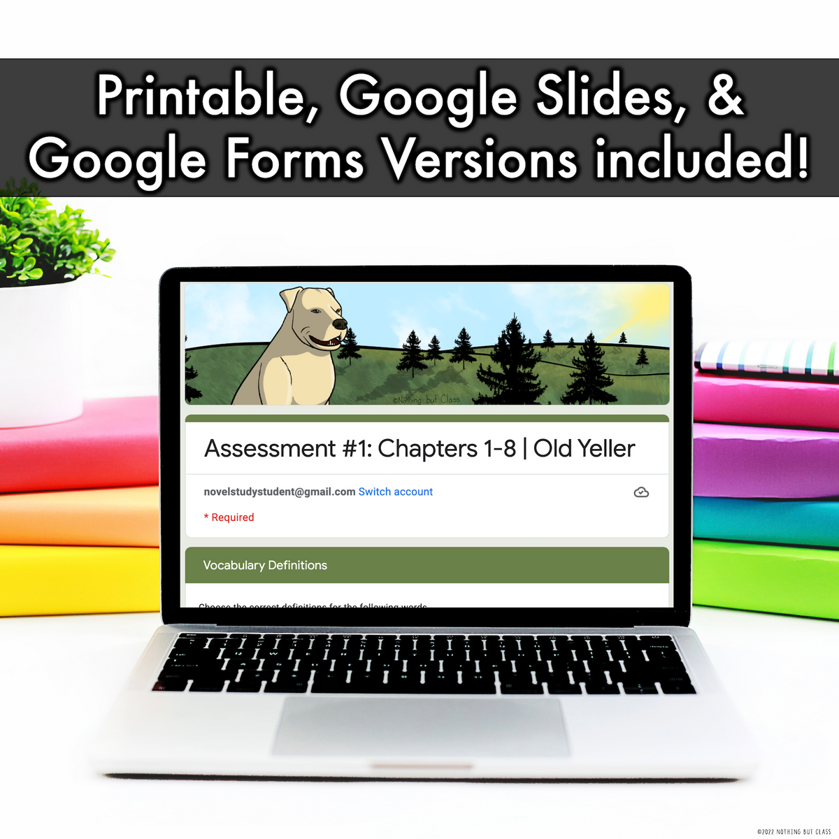 Old Yeller - Tests | Quizzes | Assessments – Nothing but Class