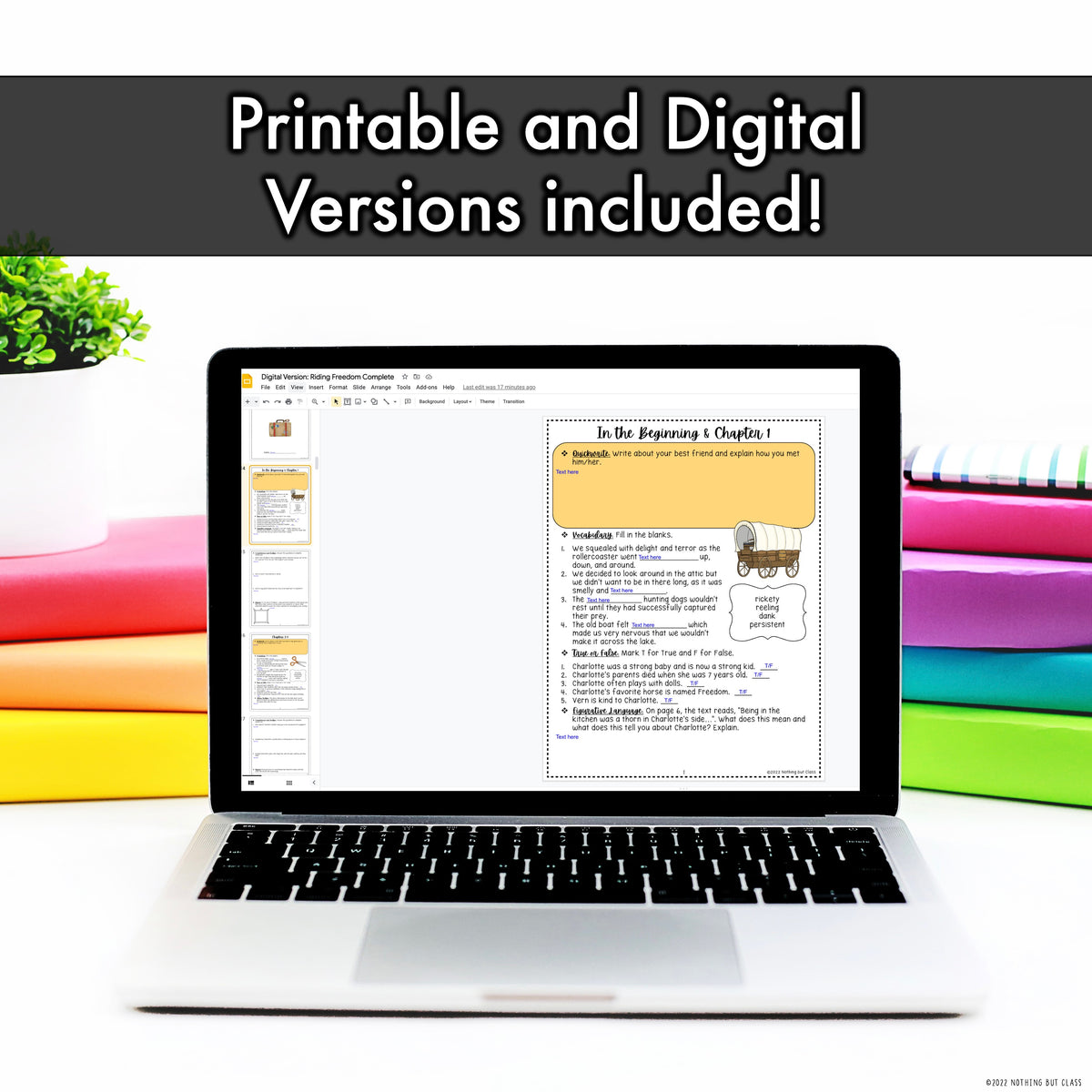 Riding Freedom Novel Study Unit – Nothing but Class