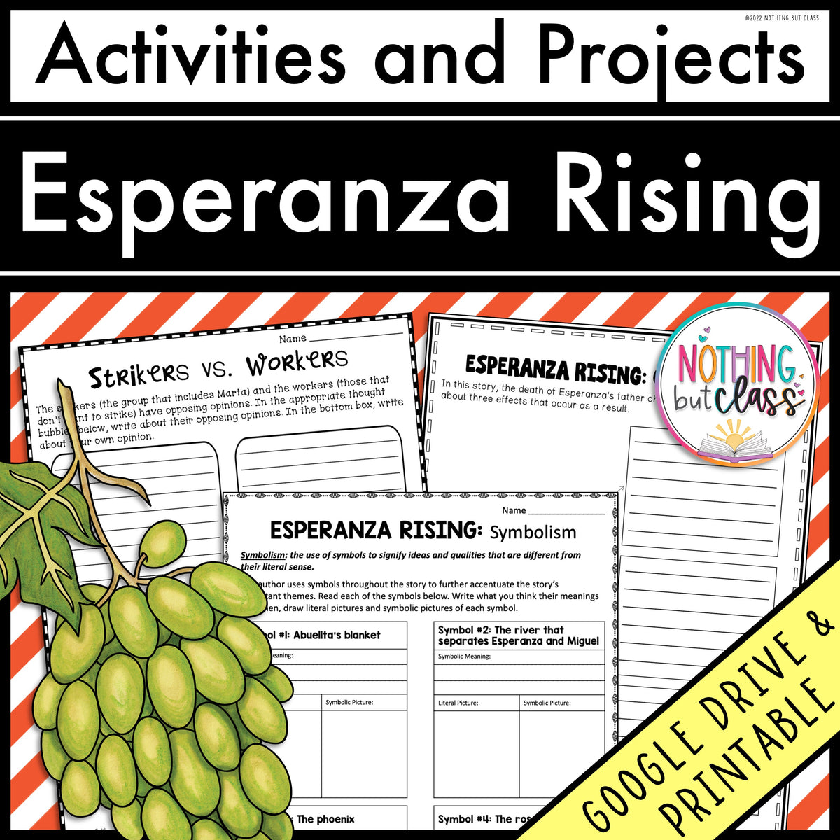 Esperanza Rising | Activities and Projects – Nothing but Class